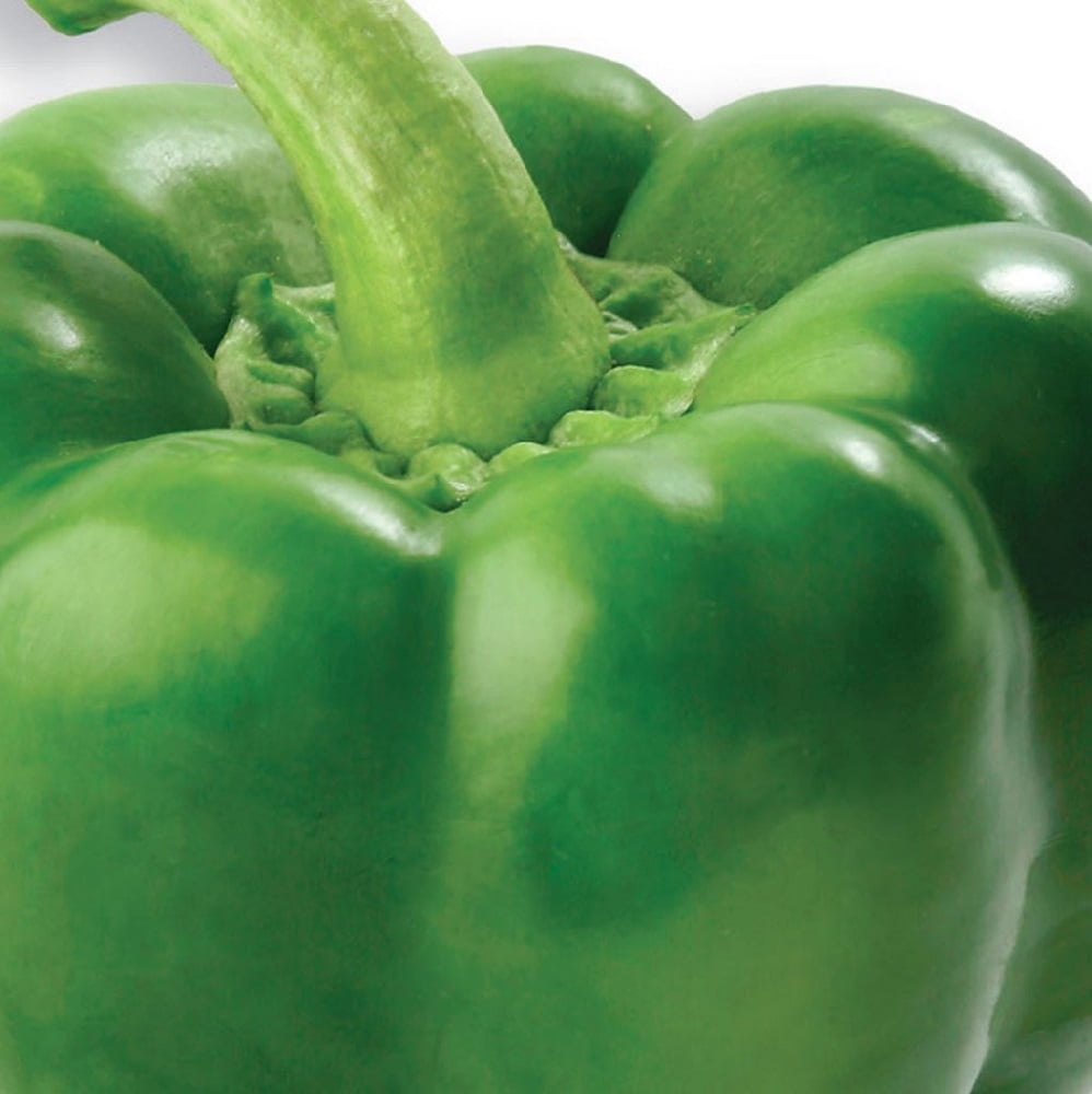Monster Bell Pepper Plant - HUGE - 2.5" Pot - Walmart.com