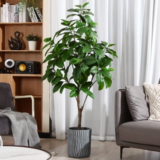 5 ft. Potted Rubber Tree with 132 Leaves - Green - Walmart.com