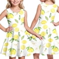 Byoo Toddler Girls Lemon Print Dress Sleeveless A Line Summer Soft ...