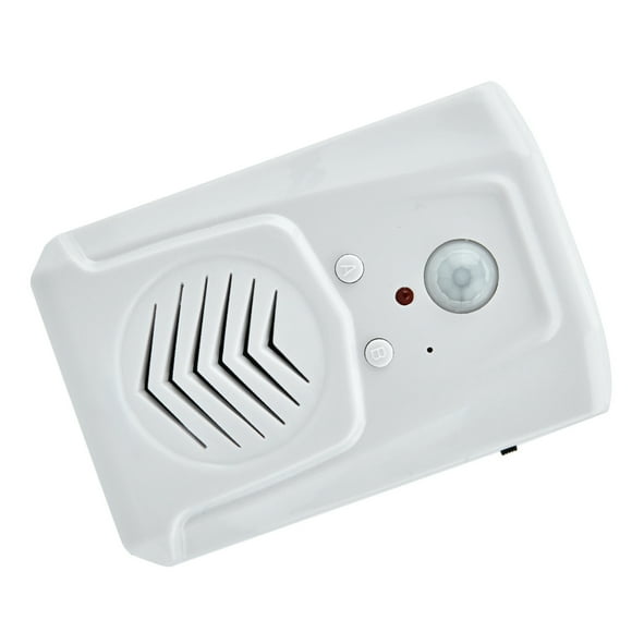 Motion Sensor Sound Player