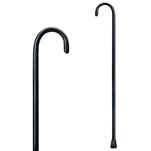 My Get Up & Go Cane - The Convenient Two-Handle Walking Cane For ...