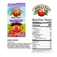 Apple & Eve Sesame Street 100% Organic Juice Pack - Elmo, Kids Variety ...