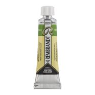Rembrandt Artists' Oil Color, 40ml, Green Earth Terre Verte - Walmart.com