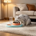 Blue Non-Slide Base 2 In 1 Pet Feeder For Cats Raised With Stainless ...
