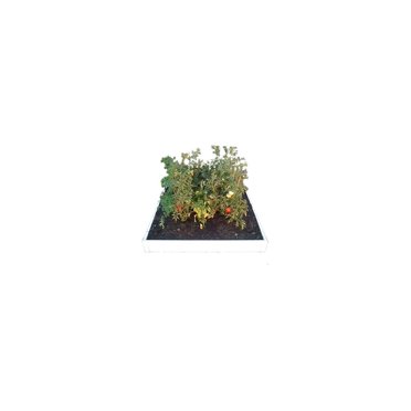 Exaco Hexagonal Raised Garden Bed Planter - Walmart.com