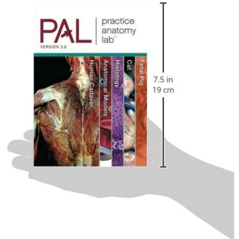 Anatomy Lab Practical Technology Plays Critical Role In Design Of