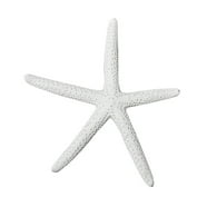 Farfi Simulation Starfish Lifelike Realistic Plastic Cute Artificial ...