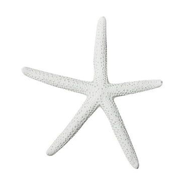Farfi Simulation Starfish Lifelike Realistic Plastic Cute Artificial ...