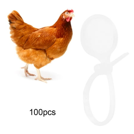 Bird Clip On Leg Rings Bird Foot Ring PP Poultry Livestock Farm ...
