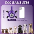 QDAN, Dog Soccer Ball, 5-inch, Durable Waterproof Interactive Toy ...
