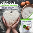 Xlear XyloSweet Non-GMO Xylitol Sweetener, Natural Sugar Substitute ...