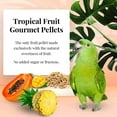 Lafeber's Gourmet Pellets Tropical Fruit For Parrots Nutritional Bird ...