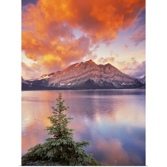 Great BIG Canvas | Rolled Darwin Wiggett Poster Print entitled Upper ...