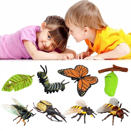 Simulated Insect Model Realistic Insect Model Plastic Insect and Bug ...