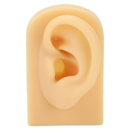 Silicone Ear Model,Ear Model Soft Silicone Piercing Practice Fake Ear ...