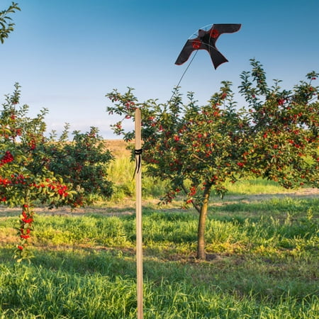 Flying Kite Animal Scarer Flash Scarer Kite; Frightening Reflective Eye ...