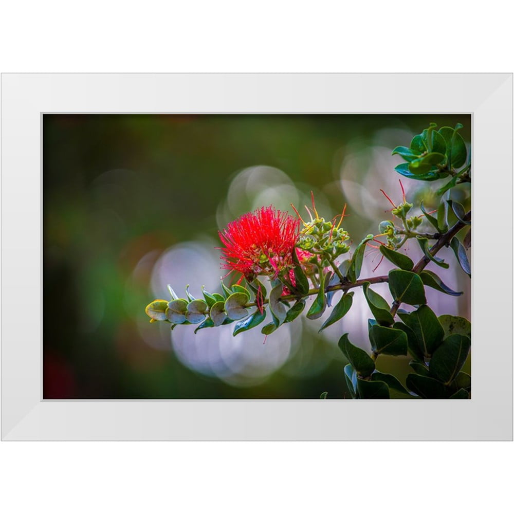 Peebles, Douglas 32x23 White Modern Wood Framed Museum Art Print Titled ...