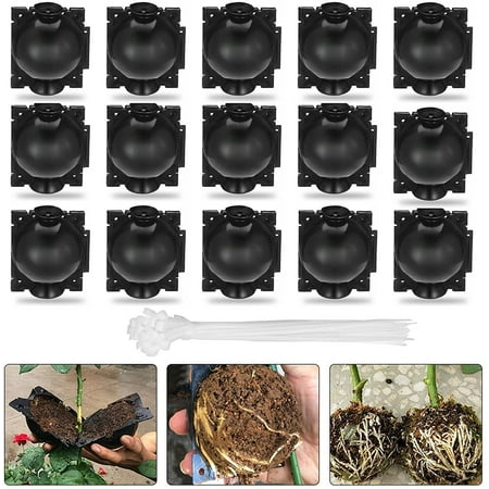 15 pcs Plant Root Growing Box Cloning Ball - Air Layering Reusable ...