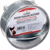 Little Giant 16 oz Hanging Waterer for Small Chicken Poultry - Walmart.com