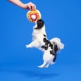 BARK Founding Funnel Cake Dog Toy with Hidden Treats for Extra Small to ...