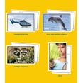 Key Education Early Learning Language Library Learning Cards (160 cards ...