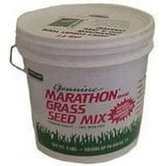 Southland Sod 4 Marathon II Dwarf Tall Fescue Lawn Grass Seed Mix, 5 ...