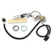 Holley 12-313 Holley 255 LPH OE Style EFI Fuel Tank Modules - Walmart.com