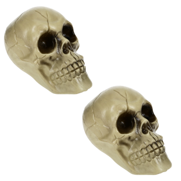 Realistic Plastic Skull - Walmart.com