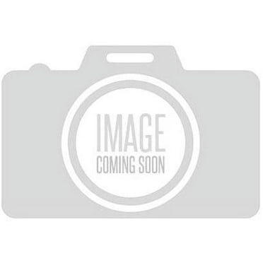 FAST Throttle Body LSX 102MM - Walmart.com