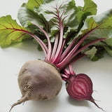 CZ Grain 50 Mammoth Red Mangel Beet Seeds, Big Bodacious Beets ...