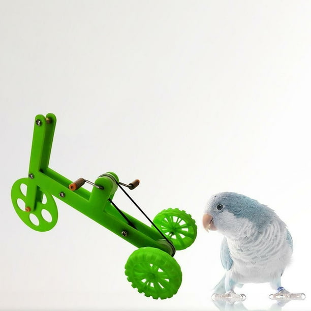 Parrot Mini