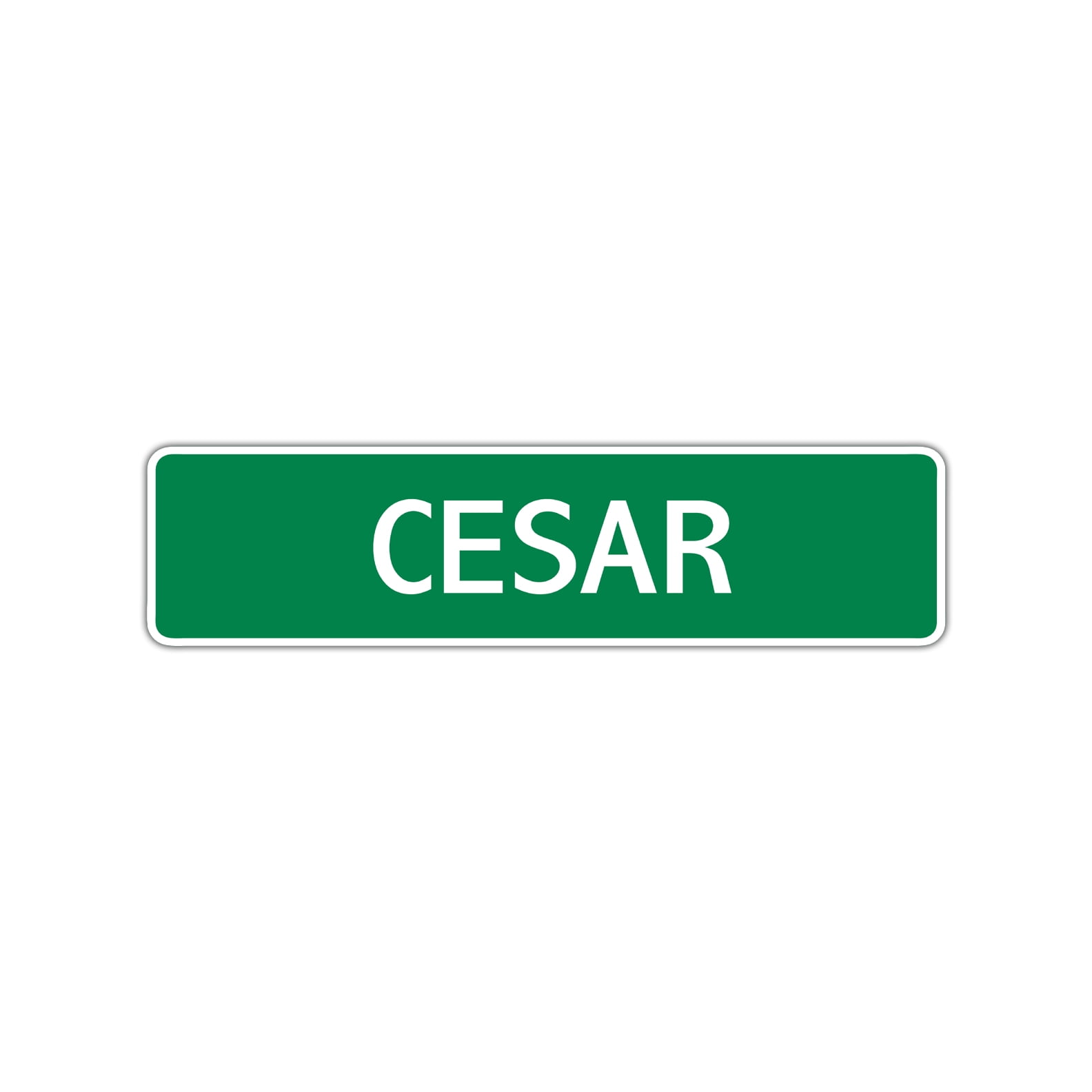 Cesar Boys Children Name Letter Printed Label Indoor Outdoor Novelty ...