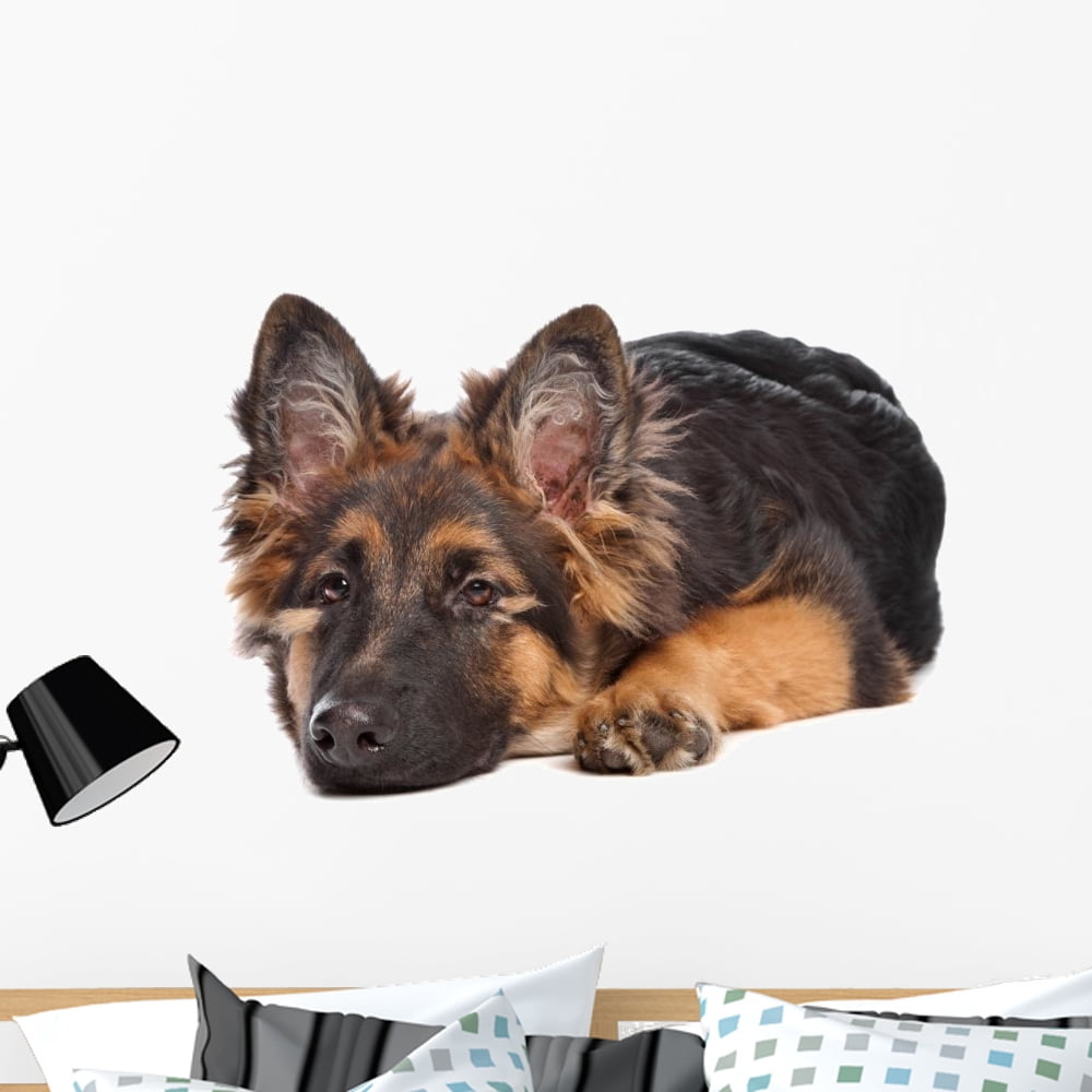 German Shepherd Puppy Wall Decal by Wallmonkeys Peel and Stick Graphic ...