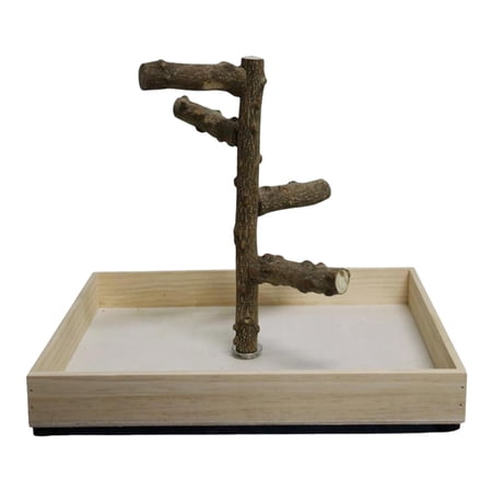 Bird Perch Bird Training Stand Portable Parrot Perch Conure Budgie ...