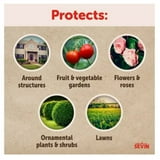 Sevin Insect Killer Dust 1 Pound - Walmart.com
