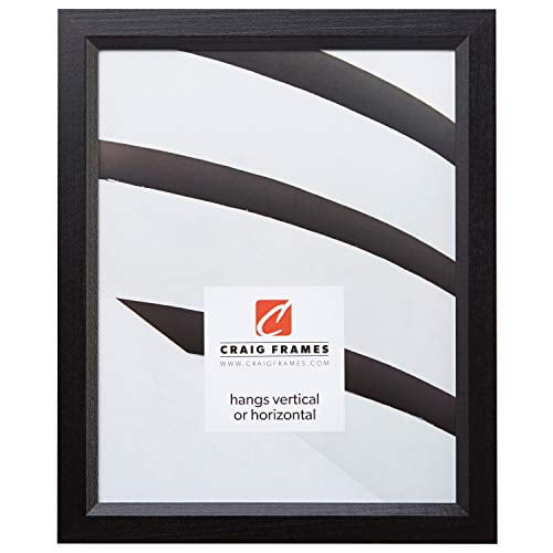 Craig Frames 7171610BK 22x24 Inch Picture Frame, Solid Wood, 0.825 Inch ...