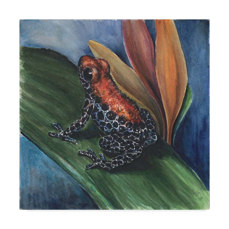Frog Fine Art