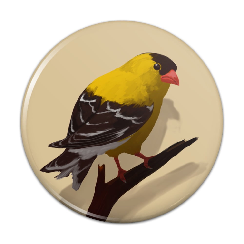 Goldfinch Bird on Tree Limb Pinback Button Pin - Walmart.com