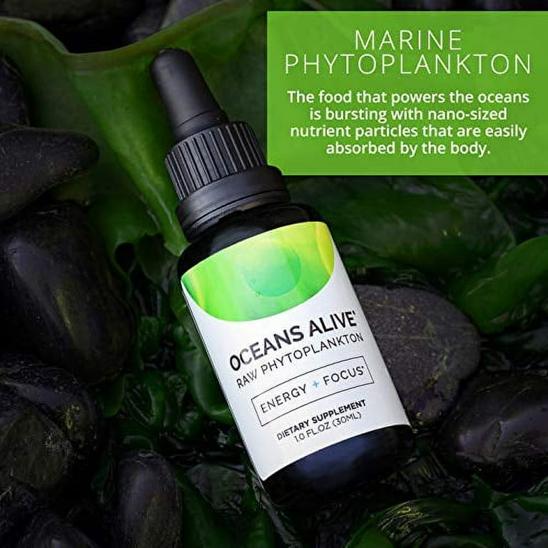 Marine Phytoplankton Supplement