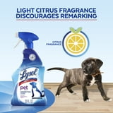 Lysol Pet Solutions –Disinfecting Cleaner, Citrus Blossom Scent, 32 FL ...