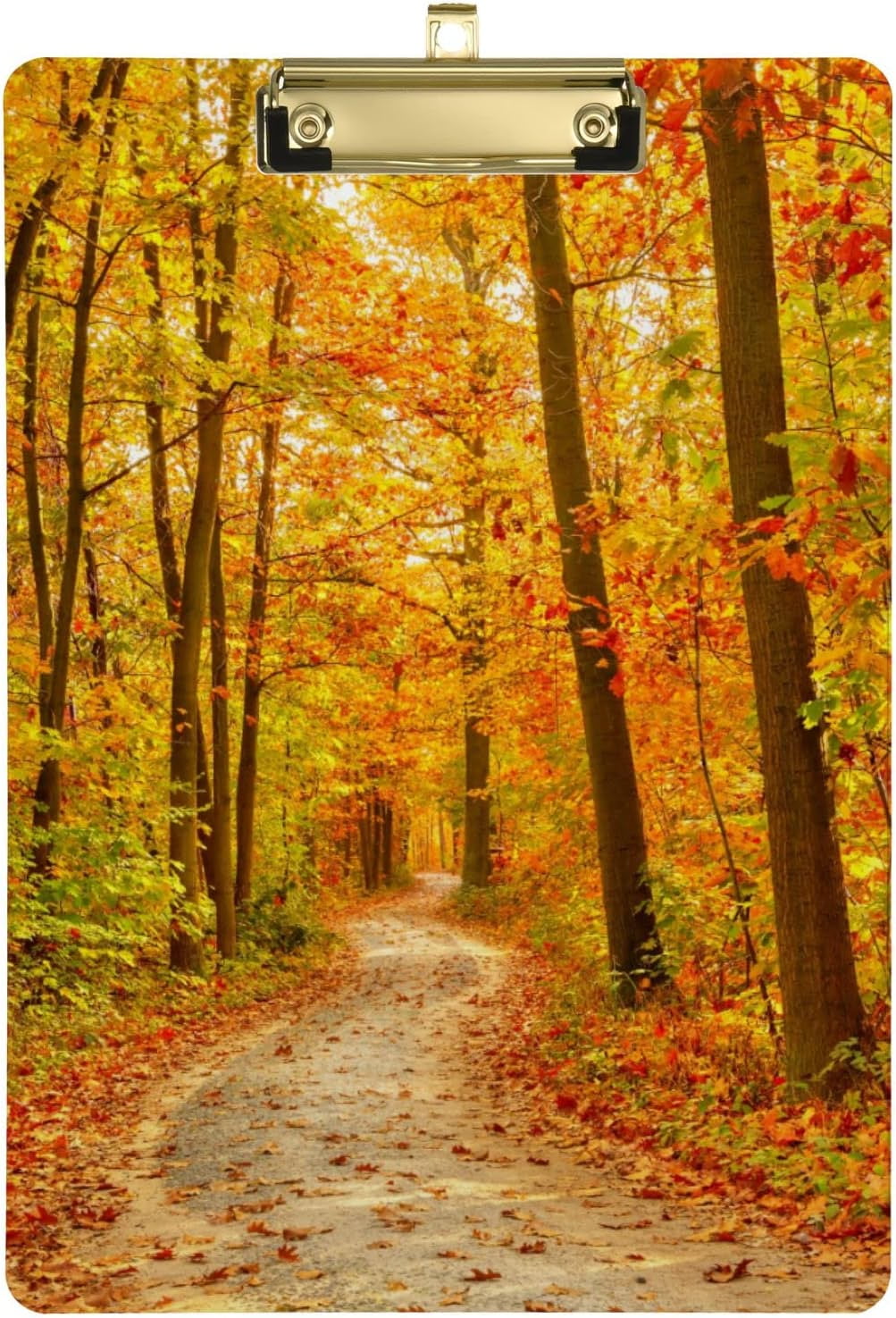 FMSHPON Autumn Forest Clipboard Hardboard Wood Nursing Clip Board and ...