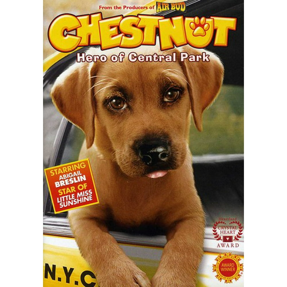 Chestnut: Hero of Central Park (DVD) - Walmart.com - Walmart.com