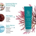 Sea Beauty Plankton Scrub, Marine Exfoliant Facial Gel, Powerful Detox ...