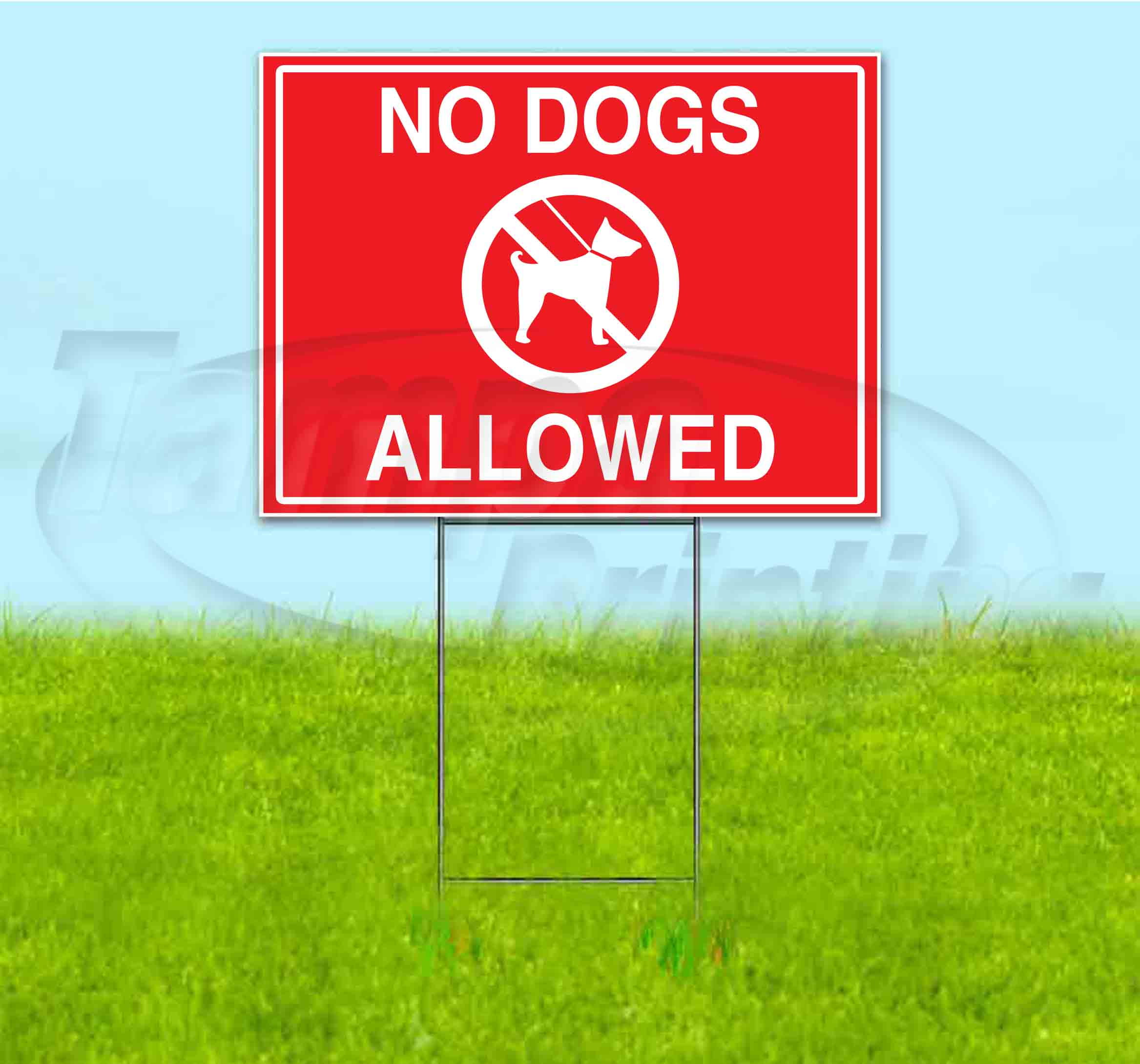 No Dogs Allowed (18" x 24") Yard Sign, Includes Metal Step Stake ...