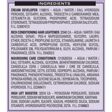 SoftSheen-Carson Dark & Lovely Fade Resist Adult Hair Color 384 Light ...