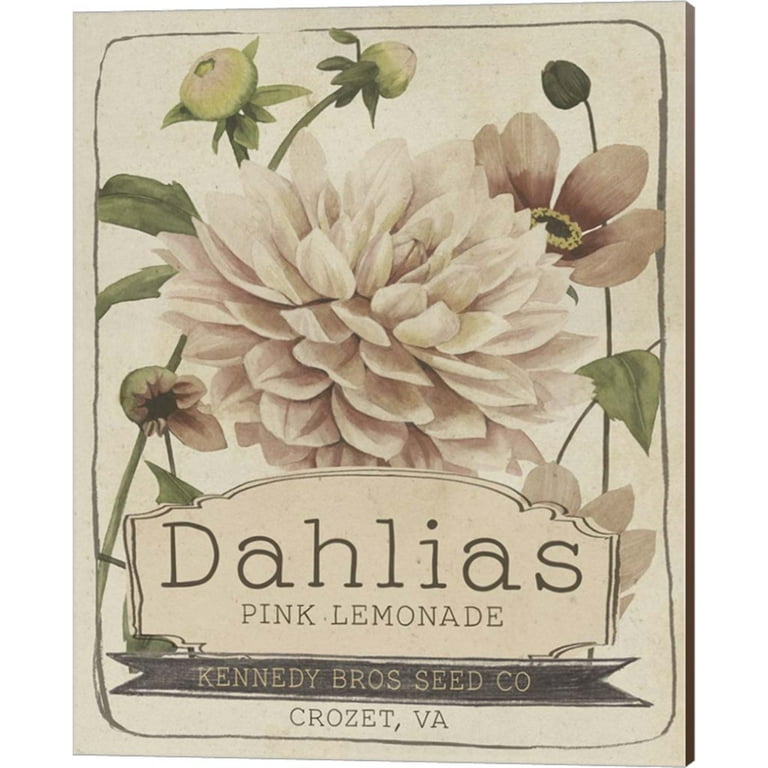 Seed Packet Art Prints