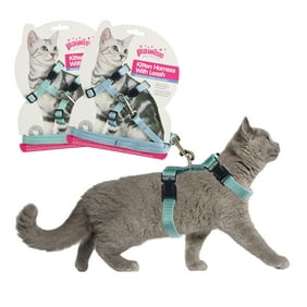 Vibrant Life Teal Harness & Leash Combo, for Cats 5-10lbs, Neck Size 6 ...