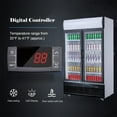 36 in. Commercial Kitchen Double-Door Beverage Fridge - 14.12 Cu. Ft ...