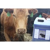 Starting Fluid- Supportive Liquid Nutrients for Livestock - Walmart.com