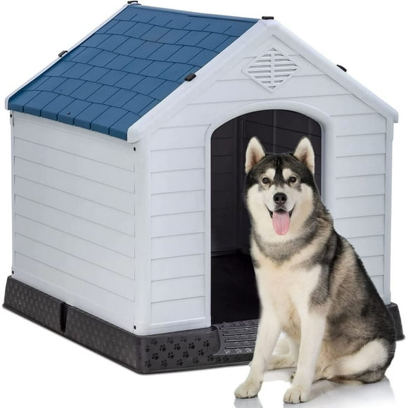 Double Dog House
